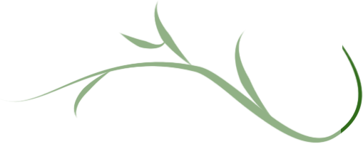 Home - Baumschulinfo - Baumschulen und Staudengärtner Österreich